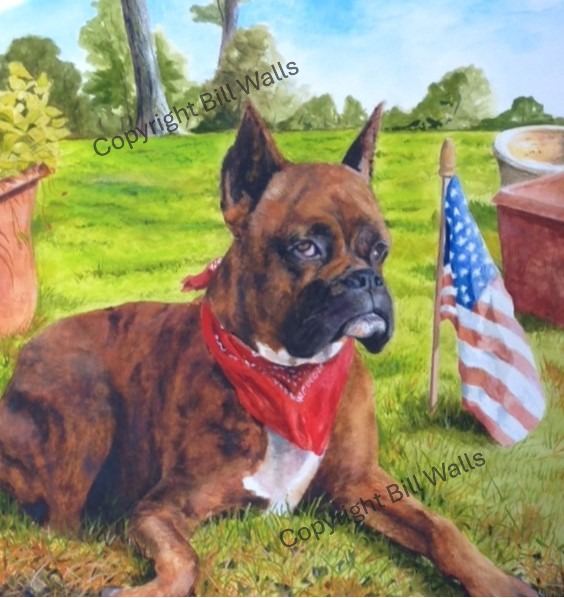 Animals – Bill Walls Art